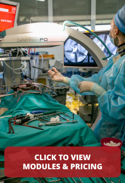 NSpine Cadaveric & Live Tissue Courses 2023 – NSpine Spine Courses and ...